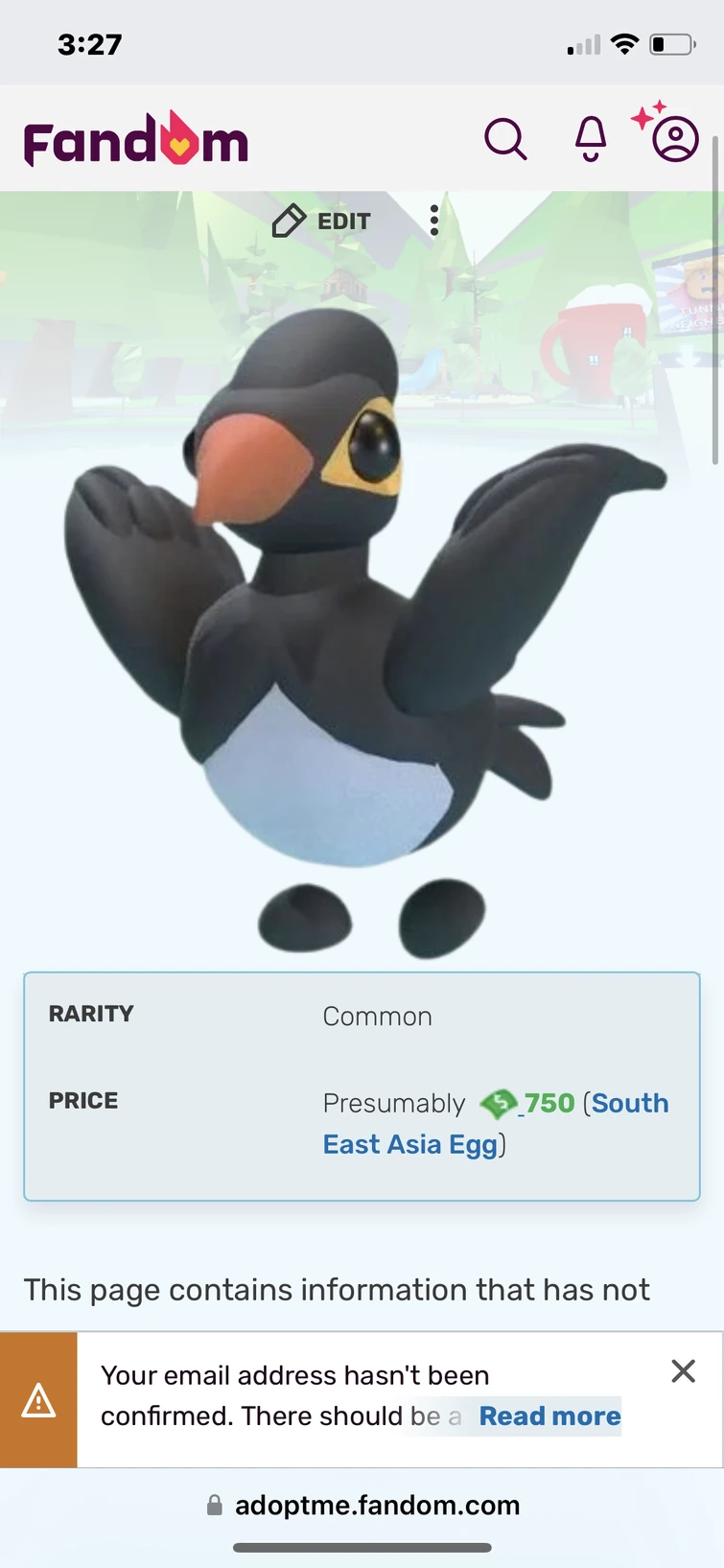 Maleo bird…. | Fandom