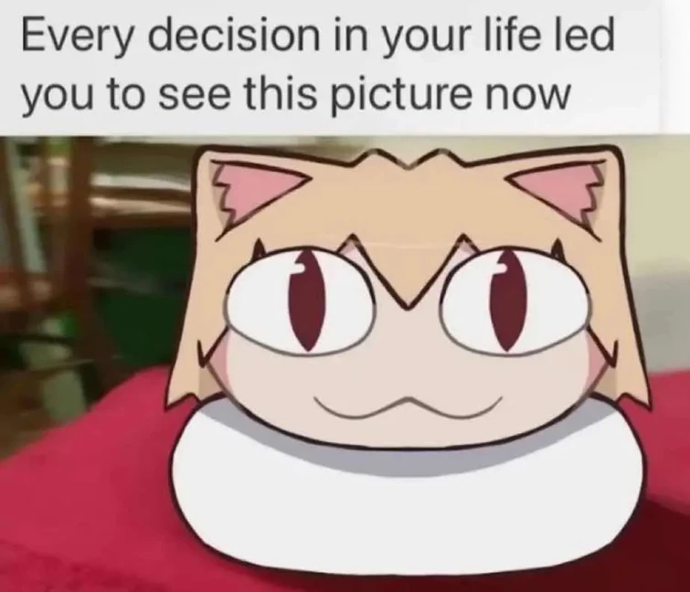 weird introduction thing bc i dont think anyone here actually knows me also new people ...