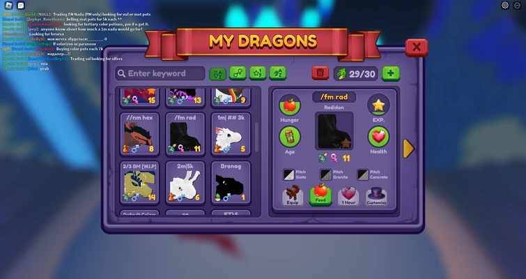 Discuss Everything About Dragon Adventures Wiki | Fandom