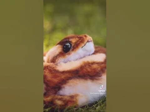 Fuzzy snek | Fandom