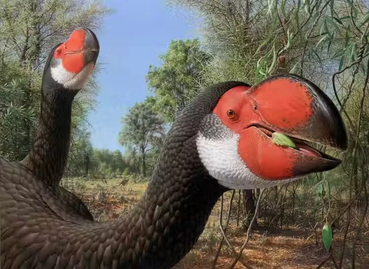 Large femur theory | Fandom