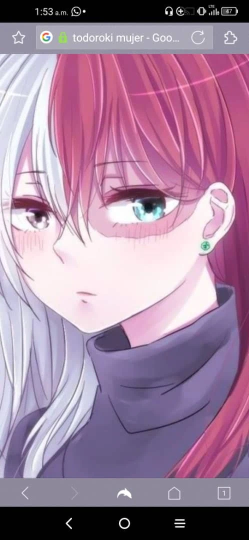 Todoroki girl UwU | Fandom