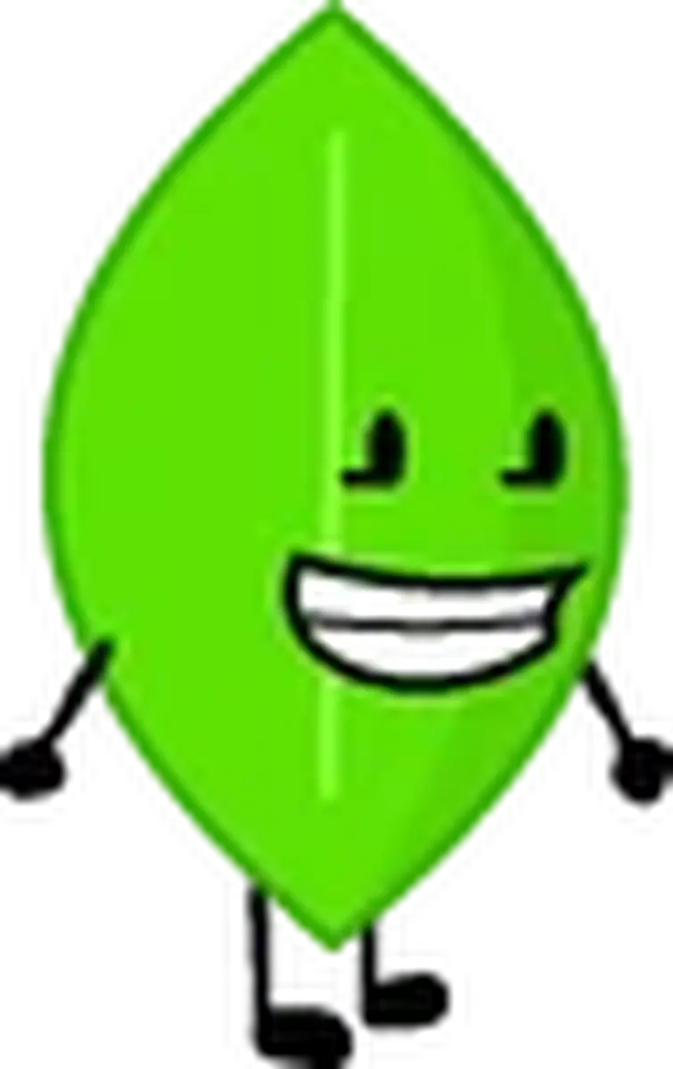 What's my favorite bfdi character | Fandom