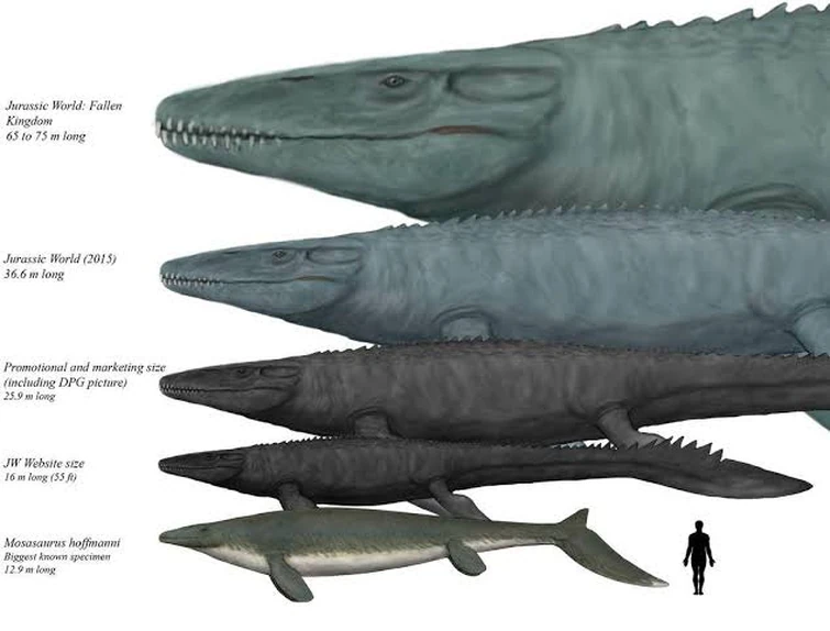 moasasurus's size | Fandom