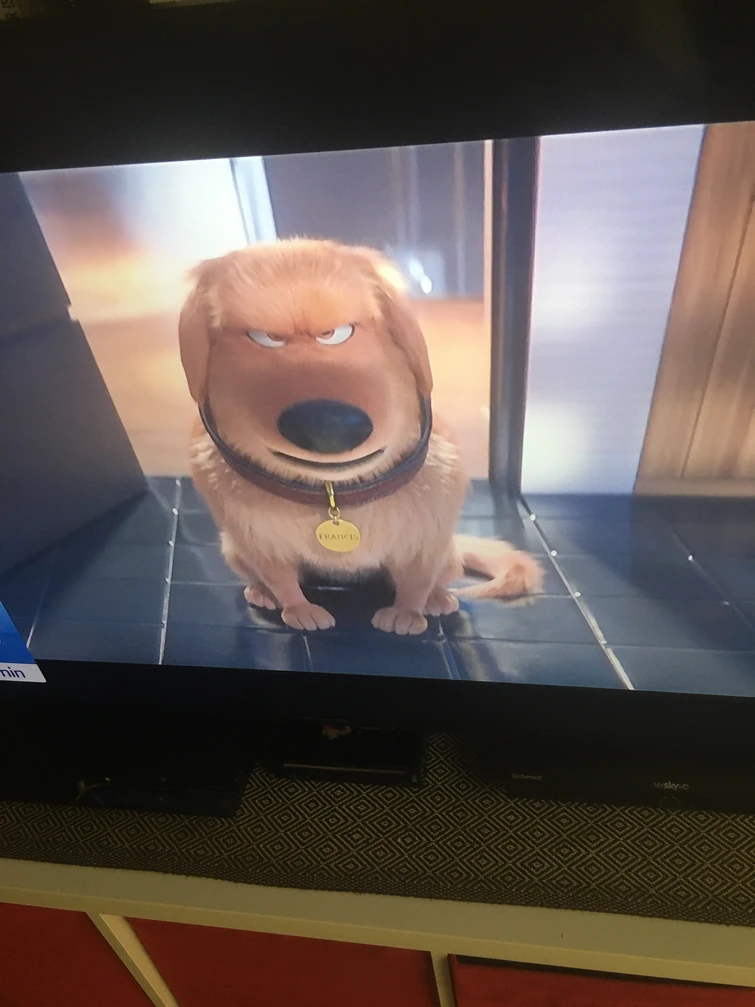 Discuss Everything About Mario Wiki | Fandom