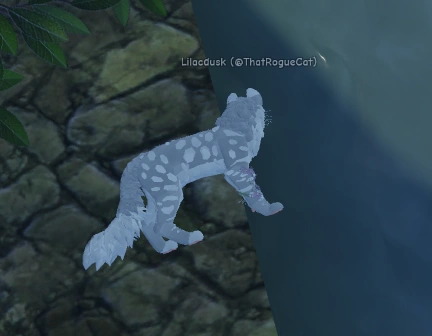 another normal day in wcue | Fandom