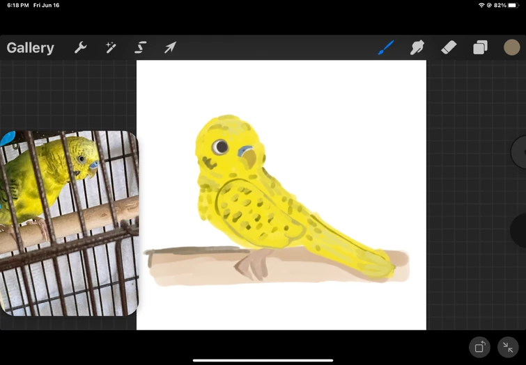 I drew my birdddd :) | Fandom