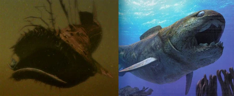 If The Future Is Wild animals were Walking With... animals (Part III ...