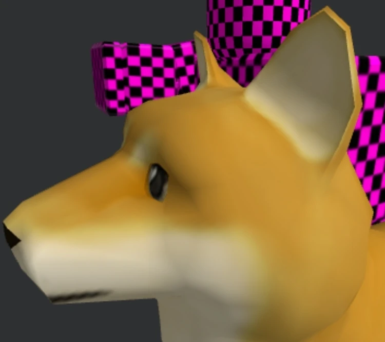 Doge close up | Fandom