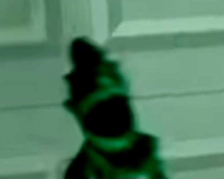 Uh funny images uh | Fandom