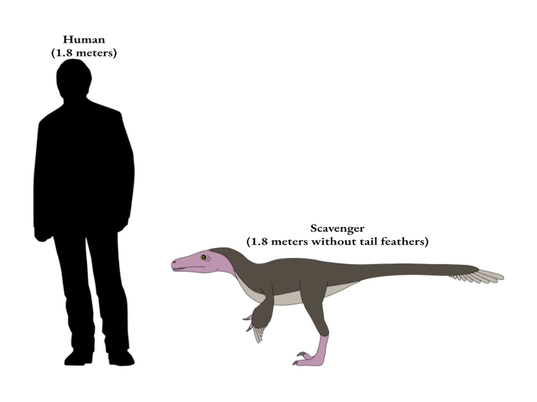 Discuss Everything About Dinopedia | Fandom