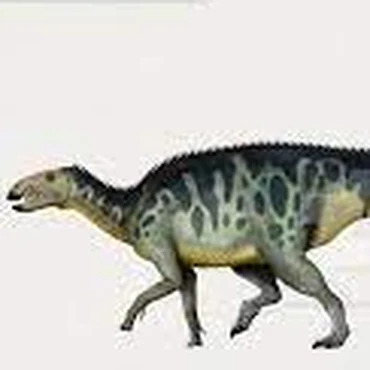 Discuss Everything About Dinopedia | Fandom