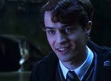 Do you want a show focused on Voldemort during the 1st Wizarding War ...