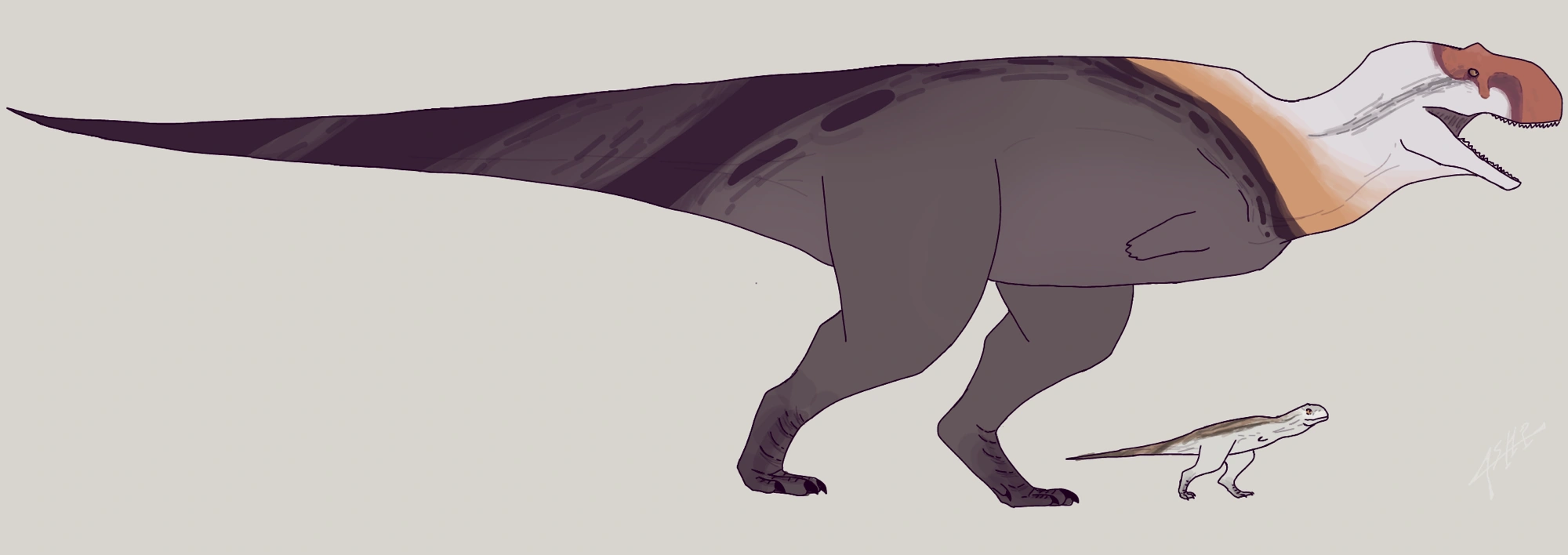 Rajasaurus narmadensis drawing | Fandom