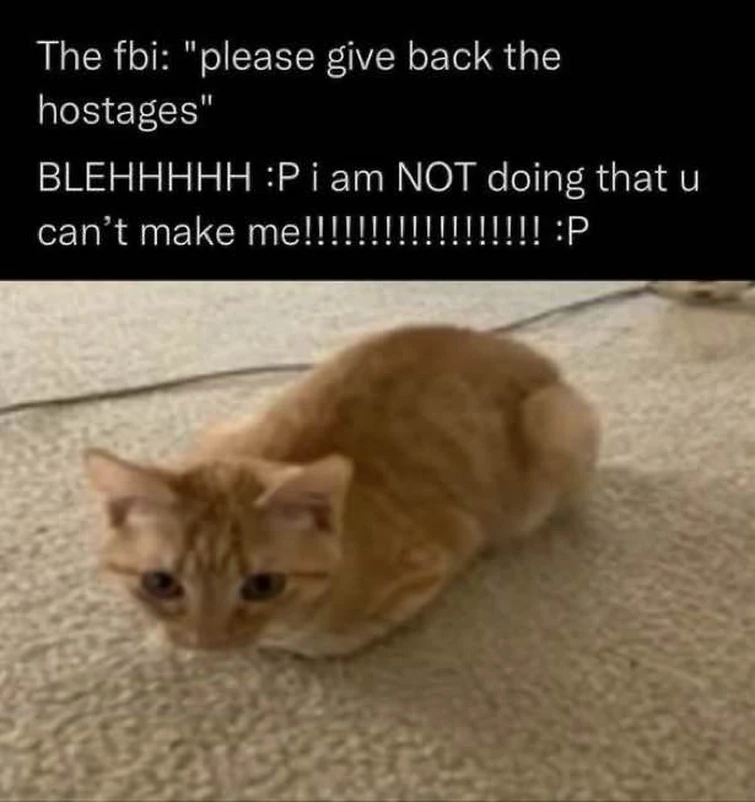 Discuss Everything About Midnight Horrors Wiki | Fandom