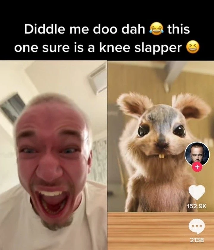 Diddle me doo dah😂 this one is sure a knee slapper😆 | Fandom