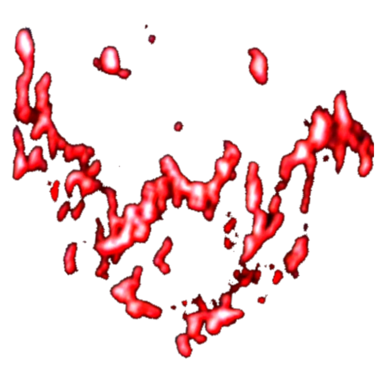 Discuss Everything About Endless doors Wiki | Fandom