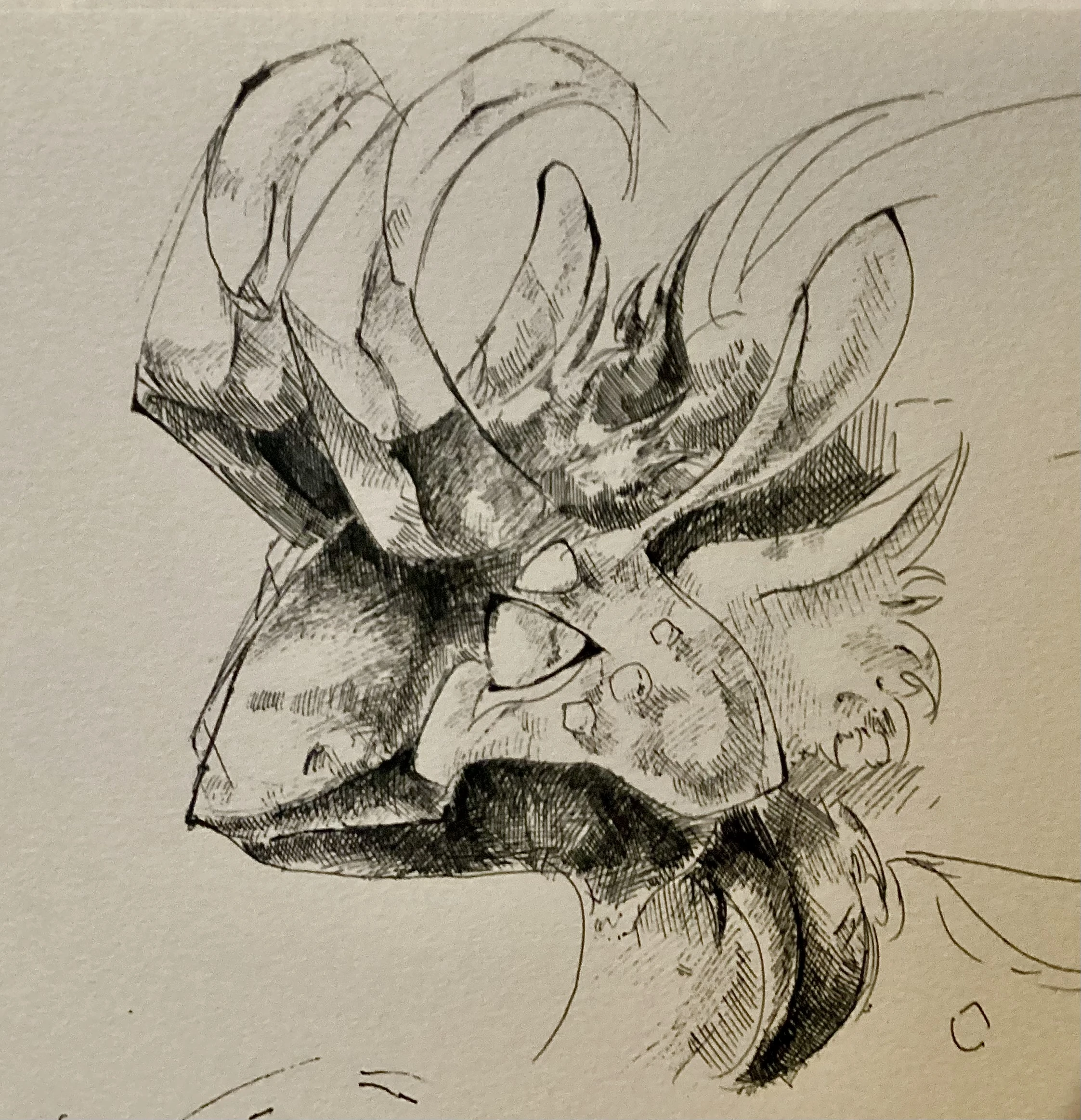 drawing your goobers (dragons) | Fandom