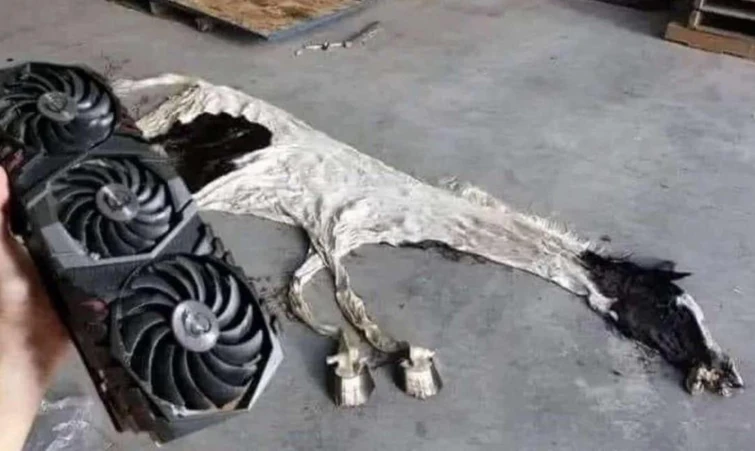 SEND OCS FOR NO PARTICULAR REASON WHATSOEVER | Fandom