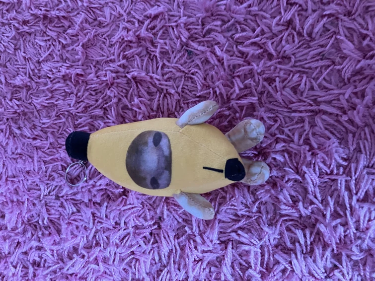 Discuss Everything About Amphibia Wiki | Fandom