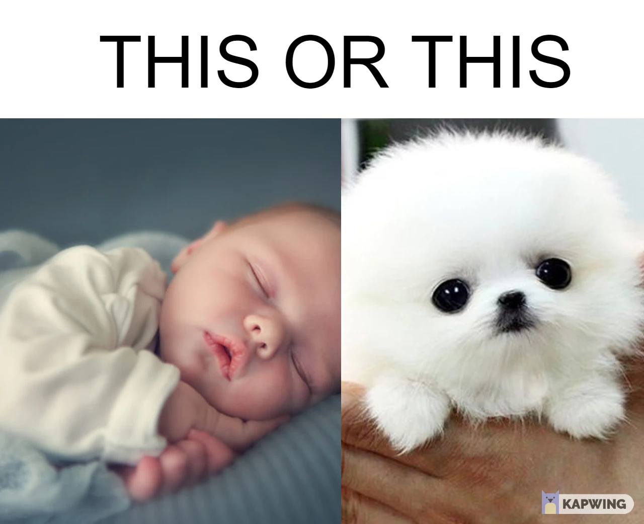 WHENEVER YOU GUYS ASK ME TO CHOOSE AGAINST MY FAVORITE CHARACTERS | Fandom