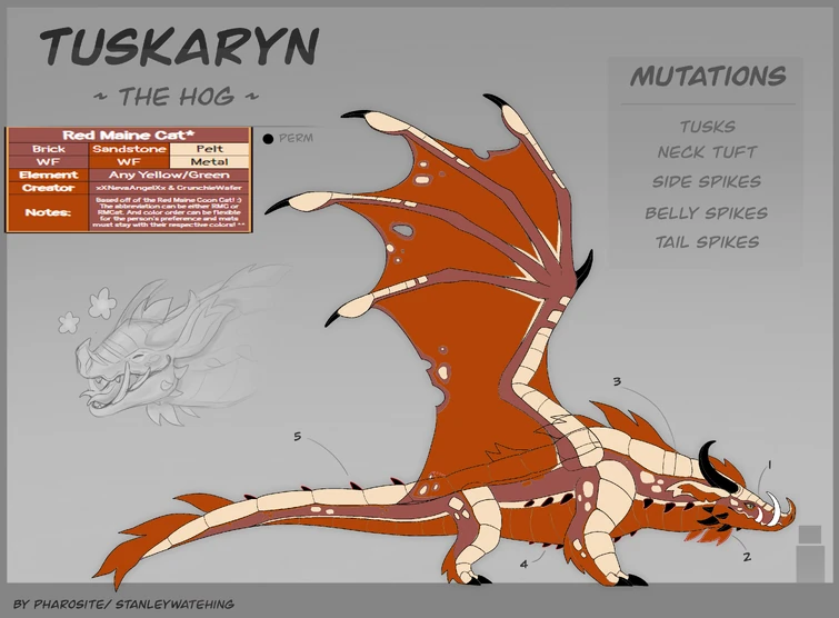 (New Dragon) Tusk in all 14 + unofficial of my themes! Plus exciting ...