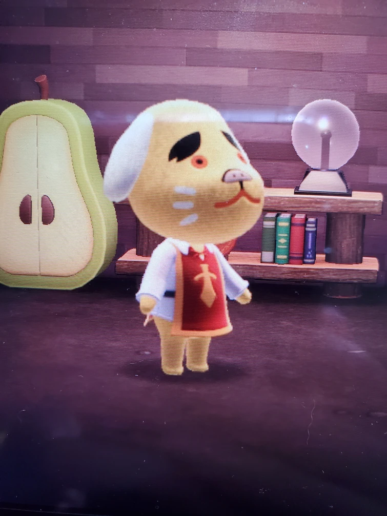 Discuss Everything About Animal Crossing Wiki | Fandom