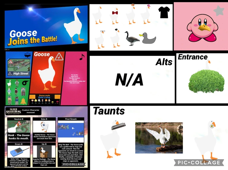 Newcomer #42 Goose | Fandom