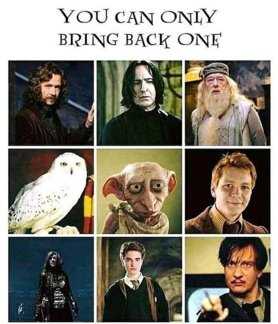 Who will you bring back ? | Fandom