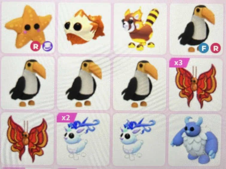 Discuss Everything About Adopt Me! Wiki | Fandom