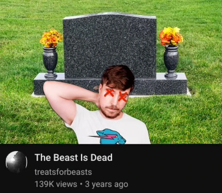 Mr. Beast thumbnail addon is the best | Fandom
