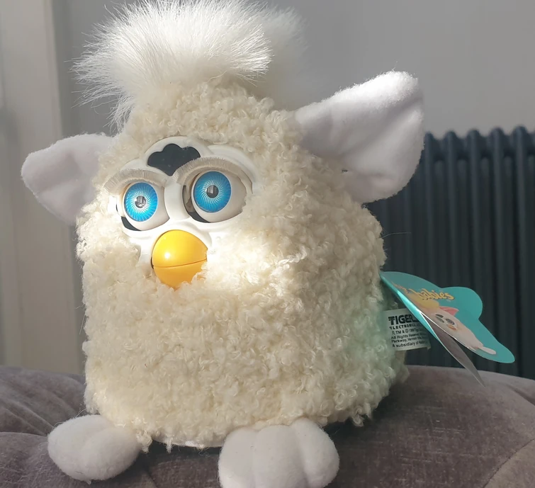 One of the furbys that I ordered came! | Fandom