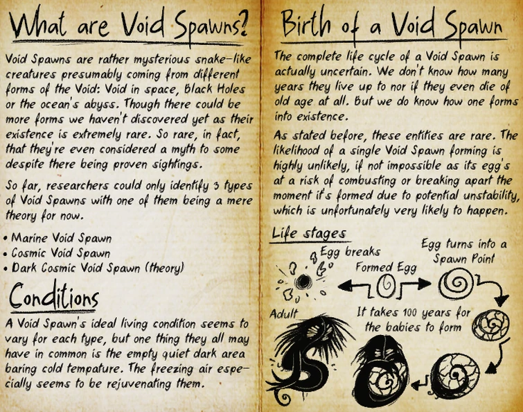 #1 - Introduction to Void Spawns (Void El Cool P n Capitan basically ...