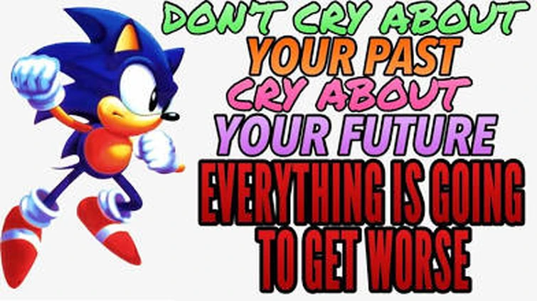 Sonic Motivational Quote | Fandom