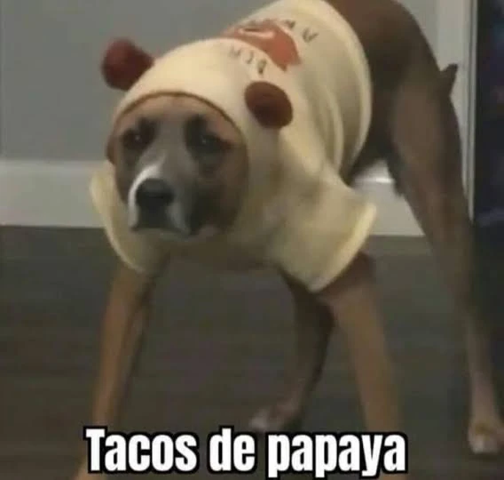 tacos de papaya | Fandom