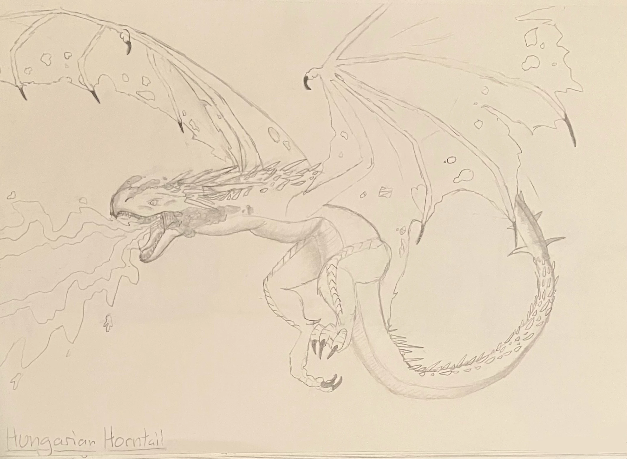 Hello, HP wiki! | Fandom