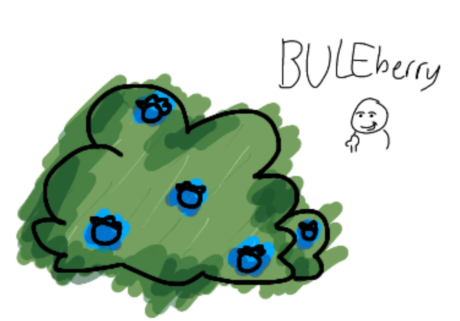 Blueberry Drawing | Fandom