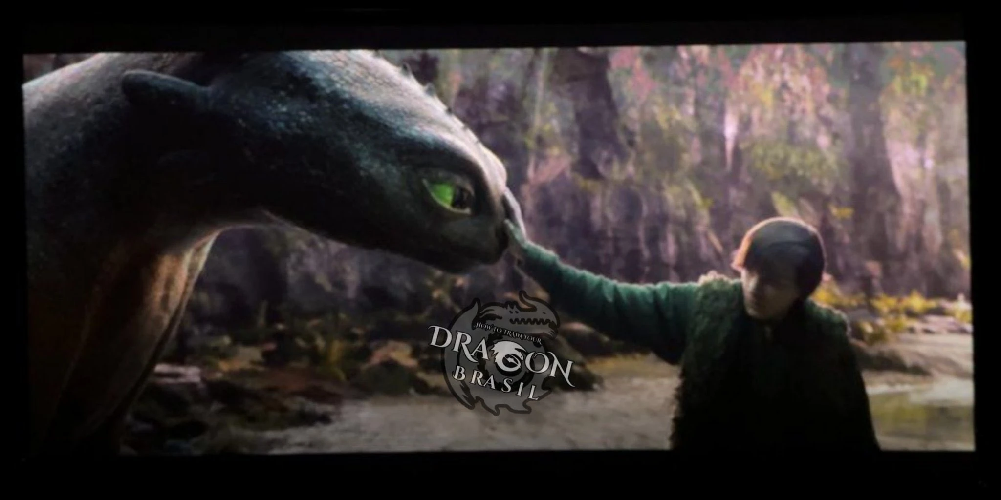 First images of Hiccup and Toothless | Fandom