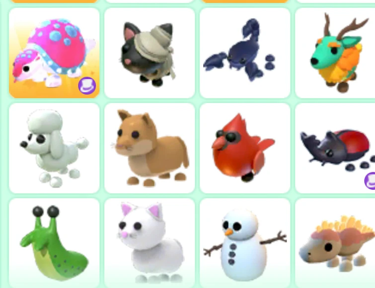Trading pets! | Fandom