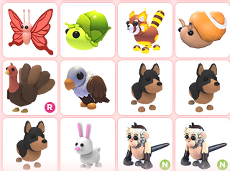 Discuss Everything About Adopt Me! Wiki | Fandom