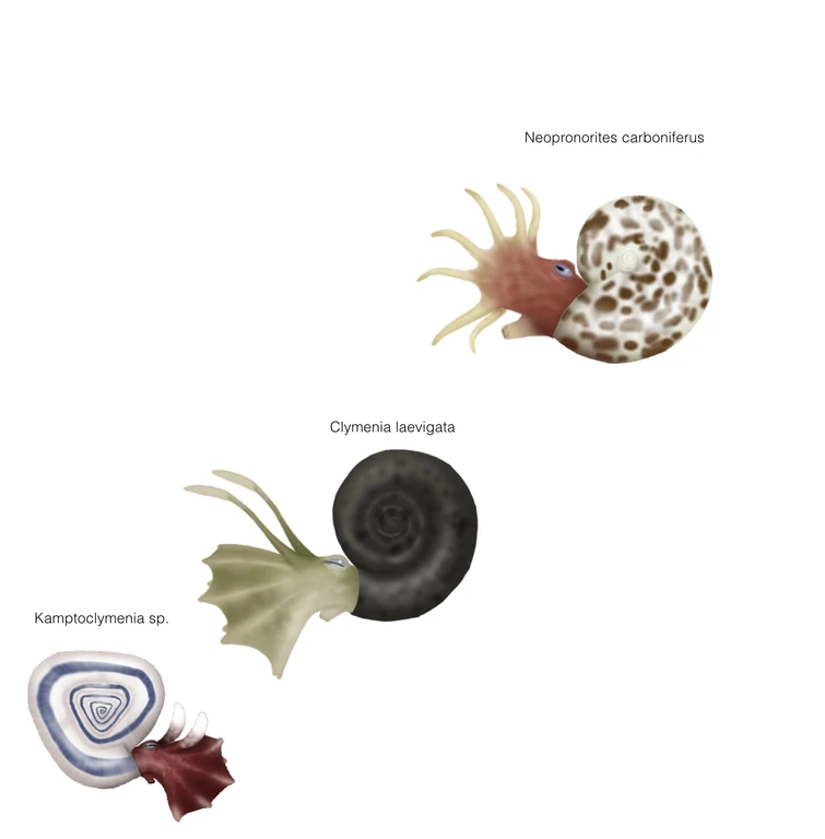 Discuss Everything About Dinopedia | Fandom