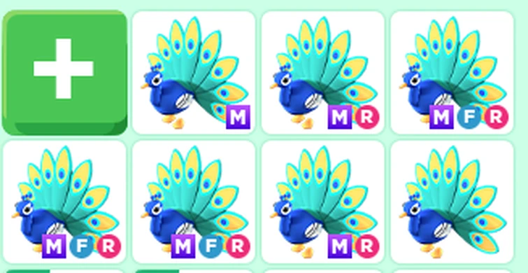 Mega peacock complete! ^^ 🦚🦚🦚 | Fandom