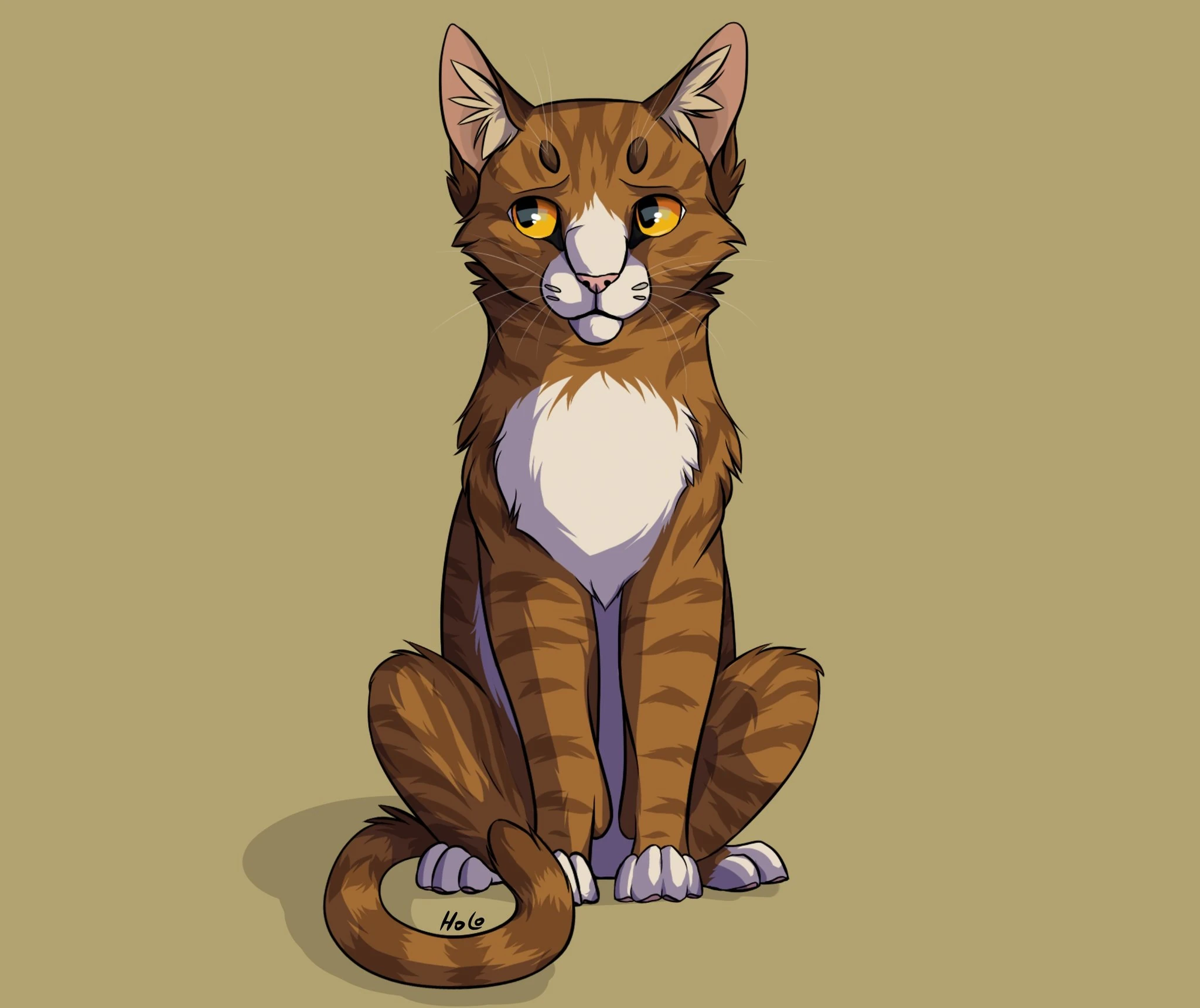 The new cats in Midnight (and the ones that changed ranks) | Fandom