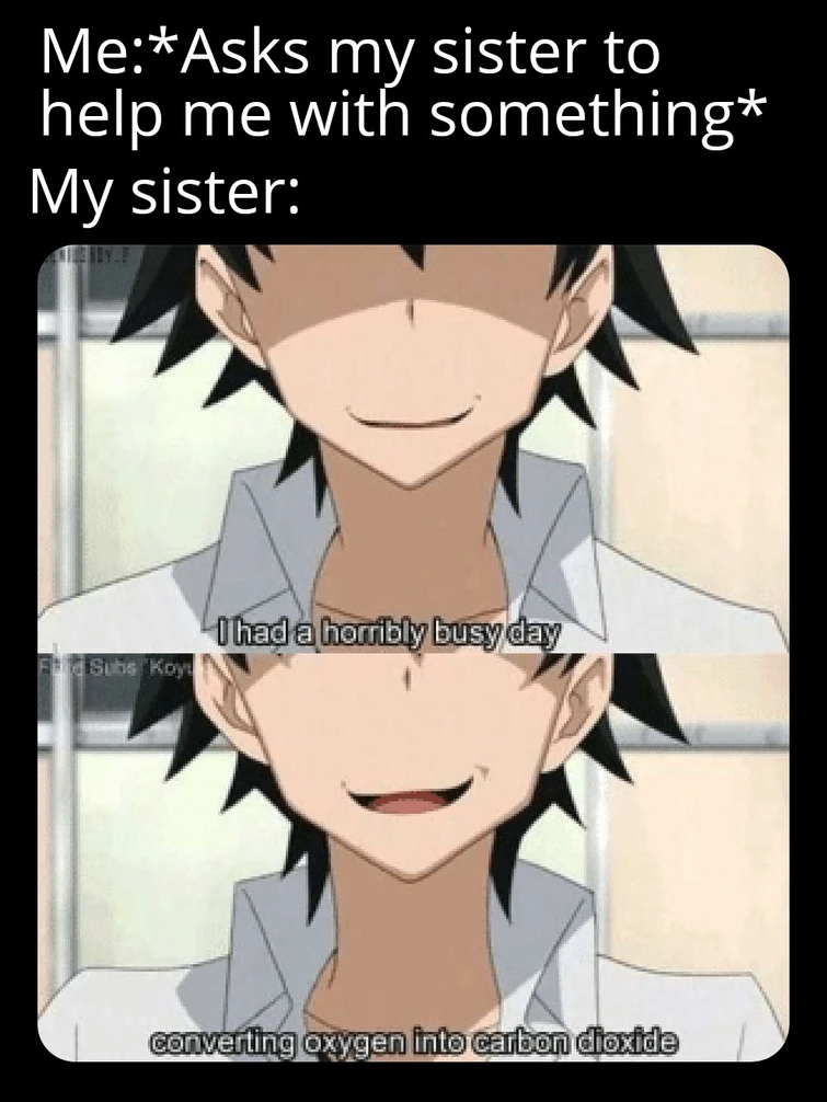 Daily 702 meme | Fandom