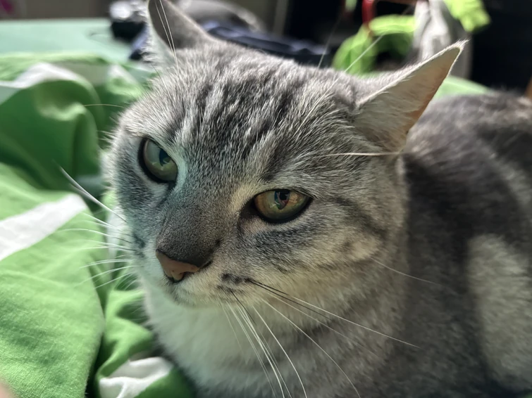 Nice grace you guys are having | Fandom