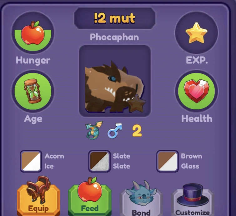 Grumpy seal | Fandom