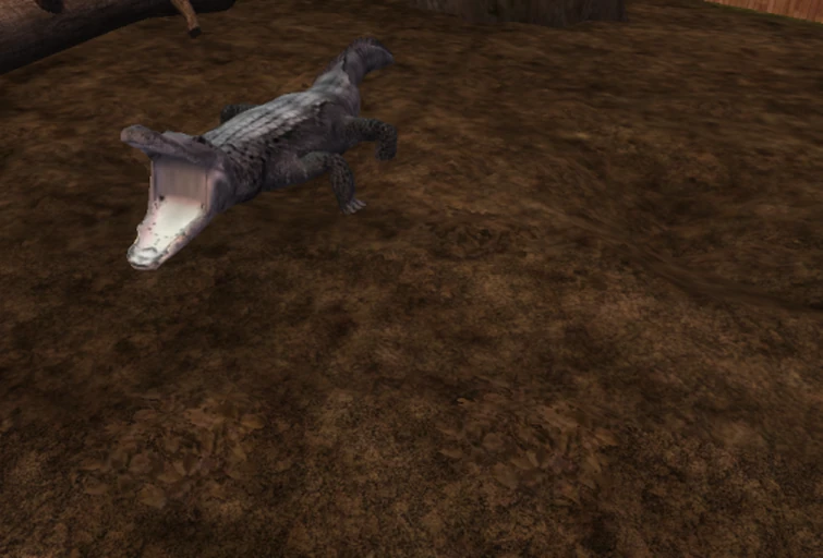Dinopedia zoo 3: Alligator mefferdi | Fandom