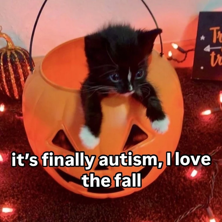 I keep seeing people on X ship Petit Ping x Allure Ping | Fandom