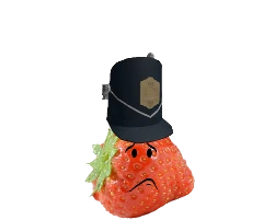 Strawbarry | Fandom