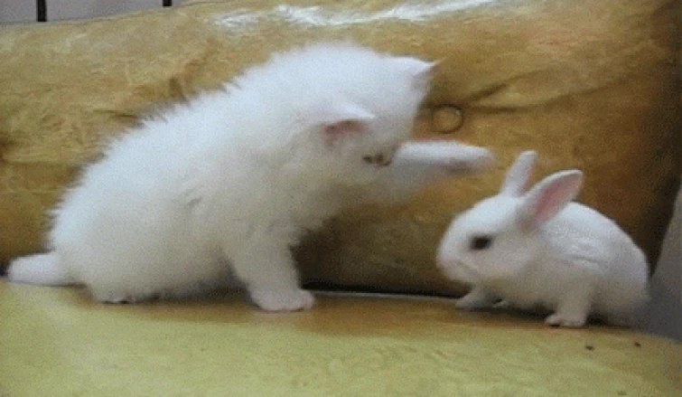 fnaf wiki users out-of-context part 3: amazing how many strange ...